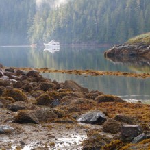 Johnstone Strait Gallery | Adventuress Sea Kayaking, Parksville ...